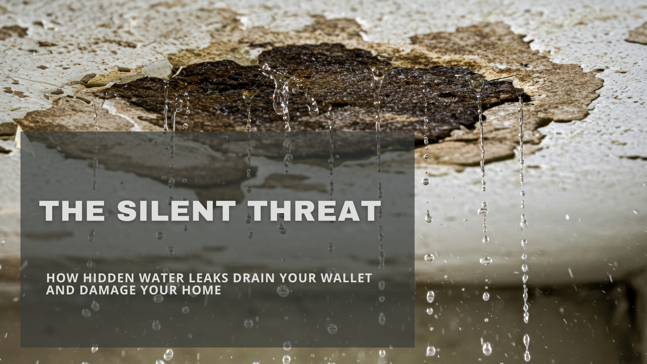 The Silent Threat: How Hidden Water Leaks Drain Your Wallet and Damage ...