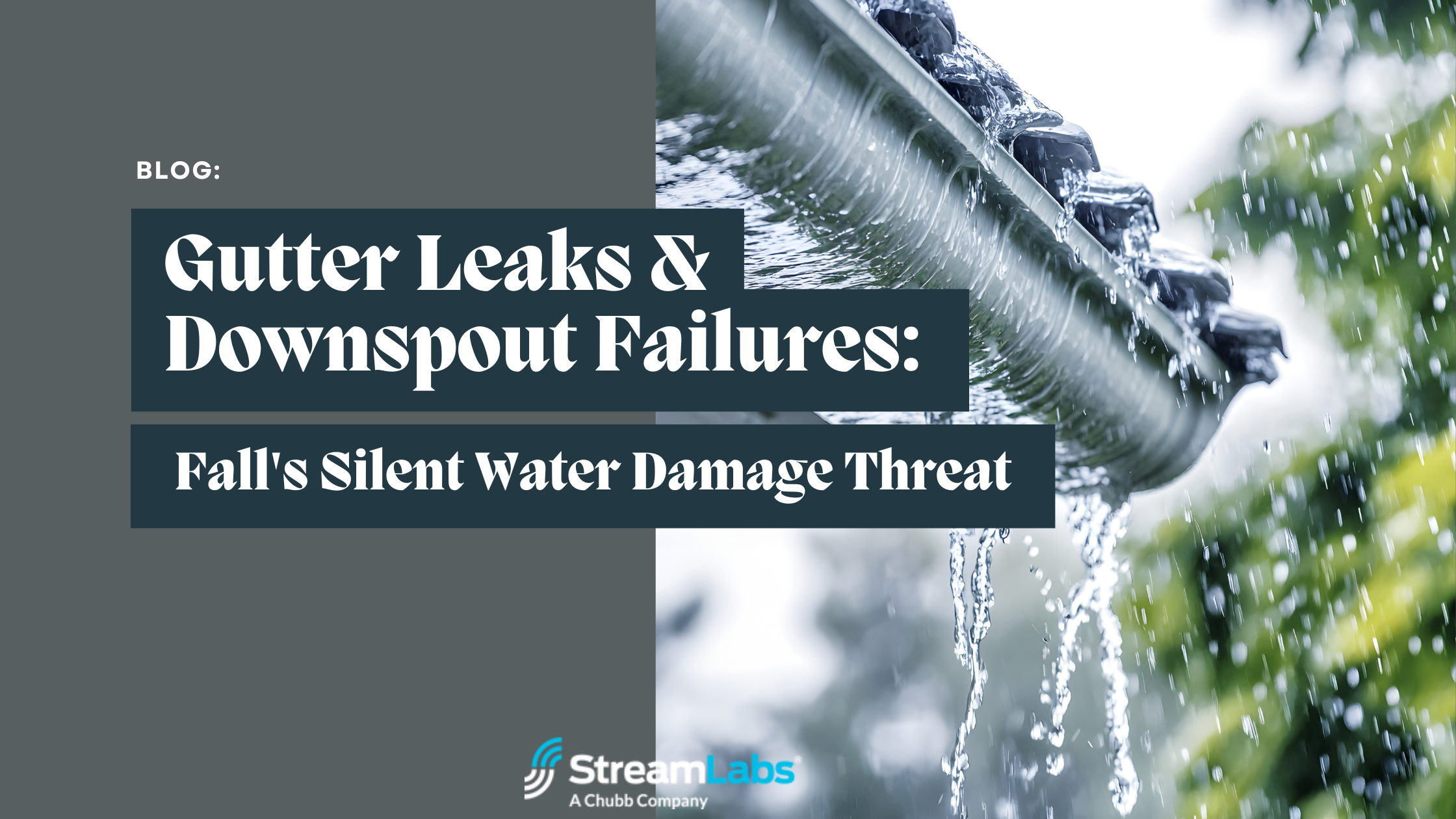 Gutter Leaks & Downspout Failures: Fall's Silent Water Damage Threat ...